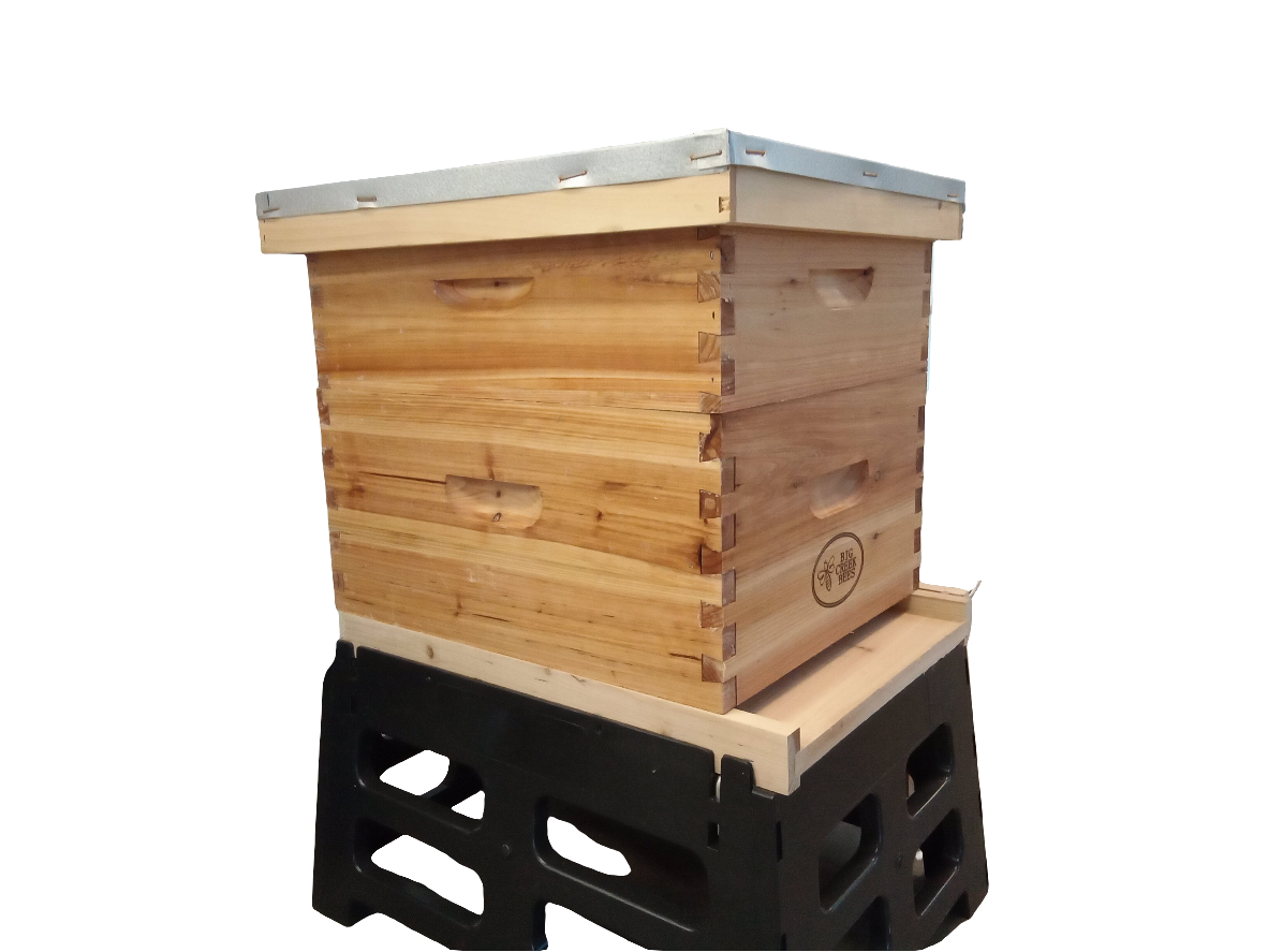 10 Frame Hive Kit Unassembled Wax Dipped Boxes – Big Creek Bees